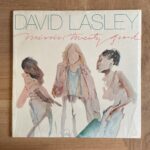 DAVID LASLEY / MISSIN’ TWENTY GRAND | RECORDSHOP GG
