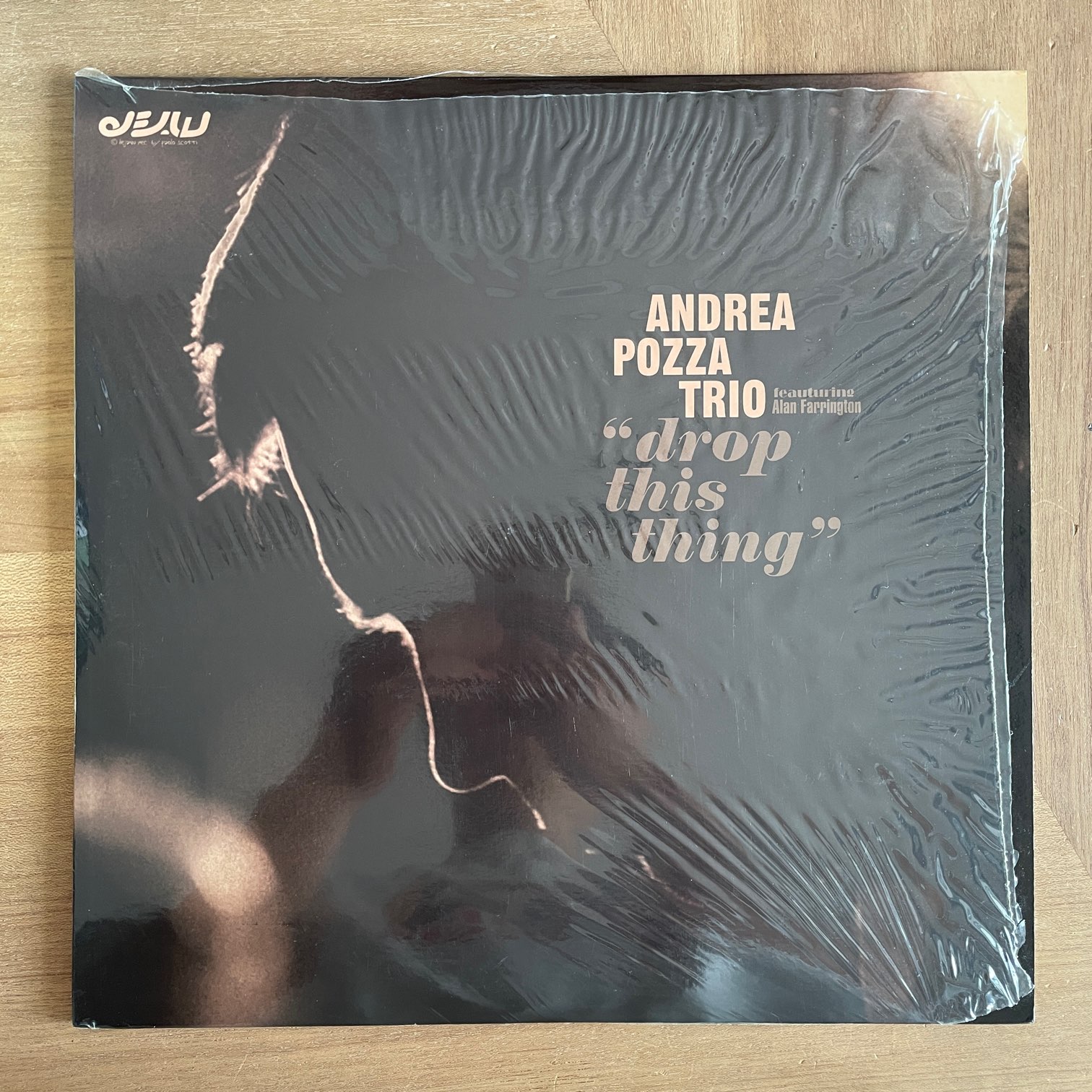 ANDREA POZZA TRIO / DROP THIS THING | RECORDSHOP GG